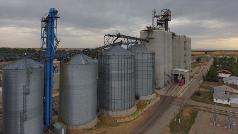 Grain - CHS Garrison